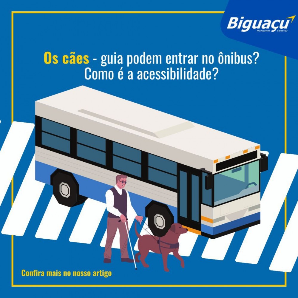 Acessibilidade para cegos no ônibus Acessibilidade para cegos no ônibus
